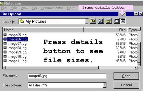 Image Preparation - DreamHorse.com